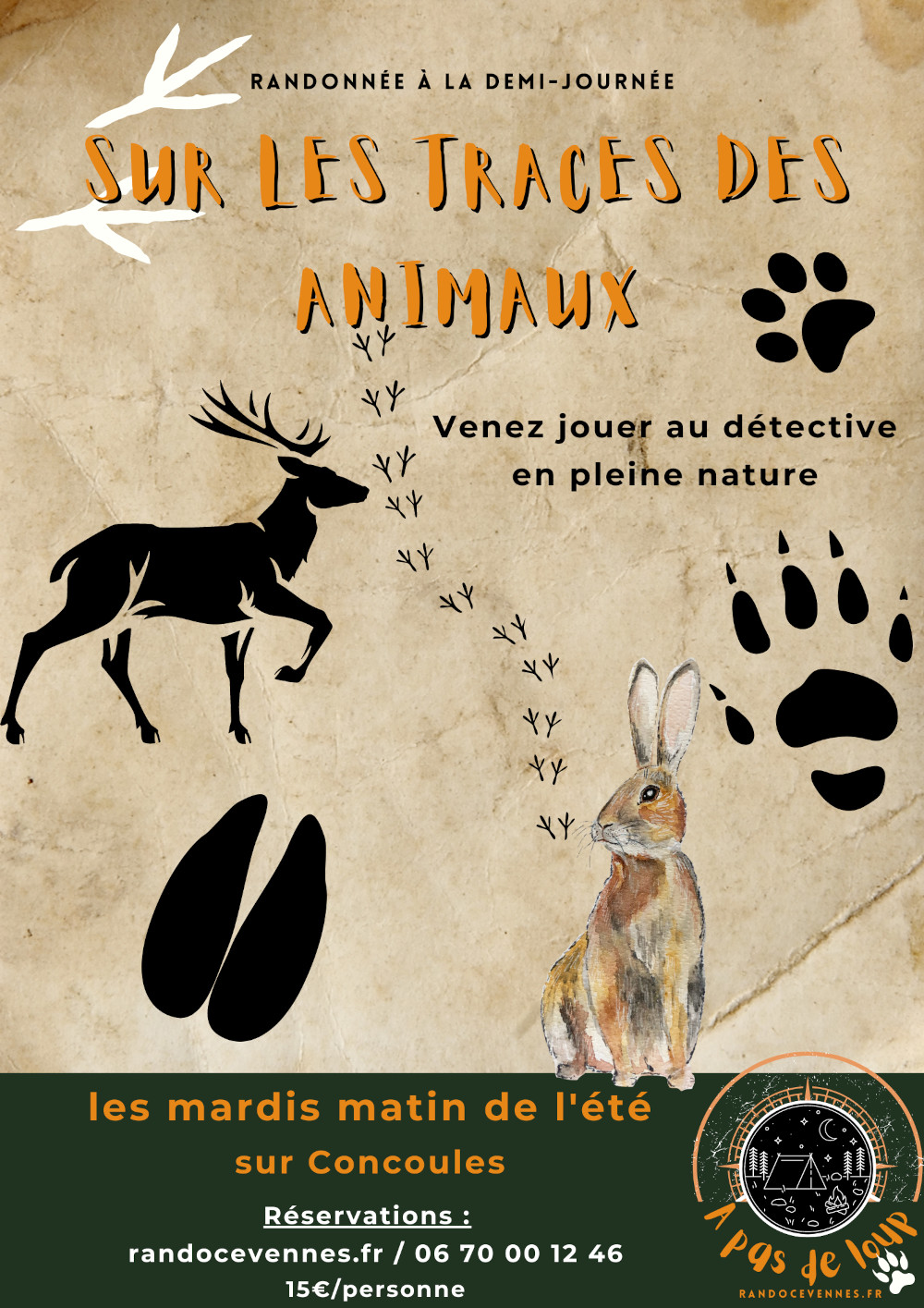 Sur les traces des animaux – Bonnevaux